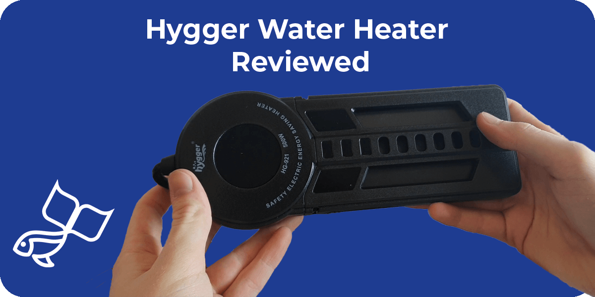 Hygger 500W titanium heater review - Fishkeepers Handbook