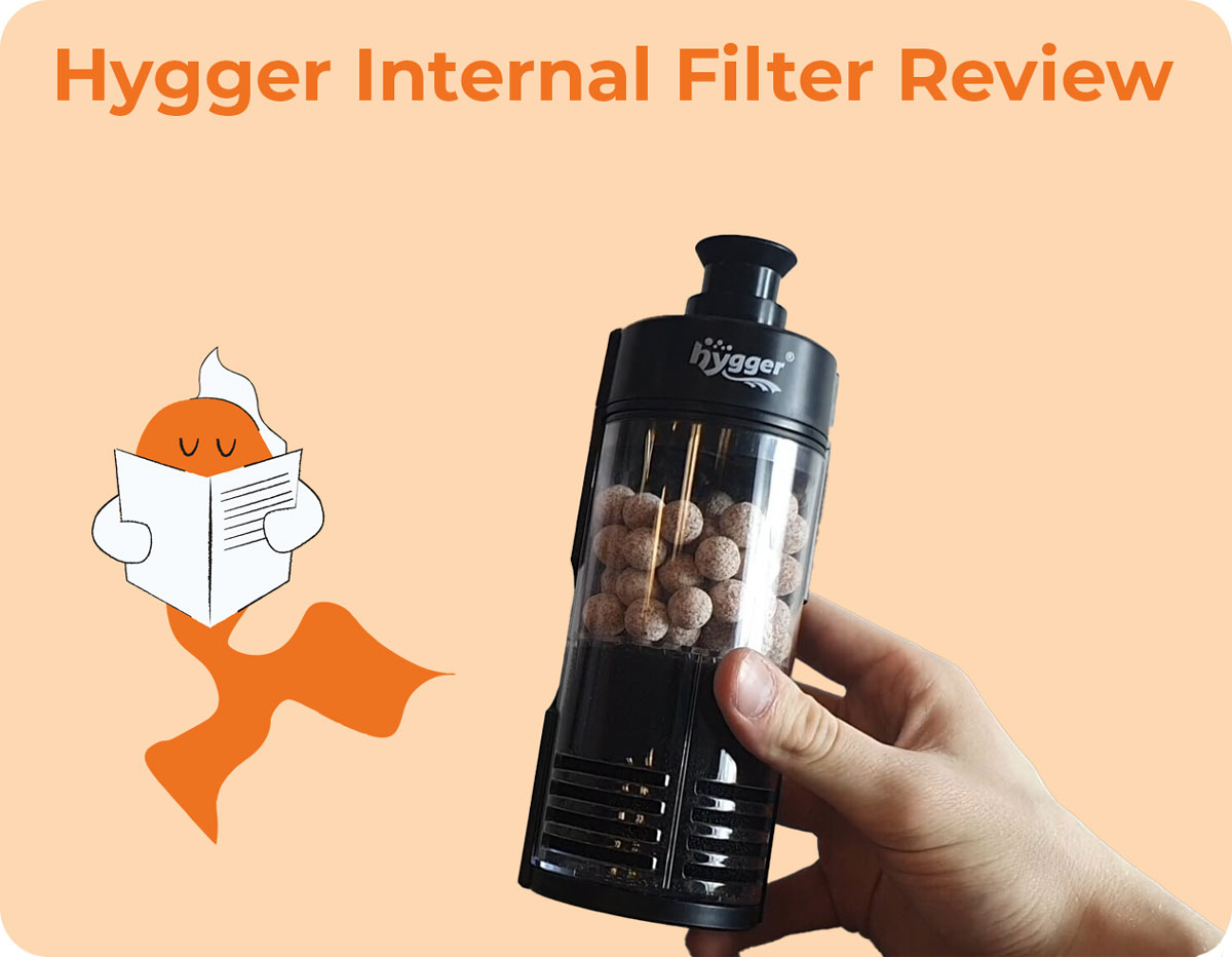 Hygger aquarium small internal filter review - Fishkeepers Handbook